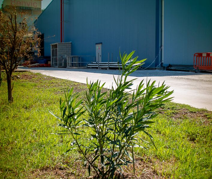 Benvic works the synergies between PVC and its new integrated compounds ...