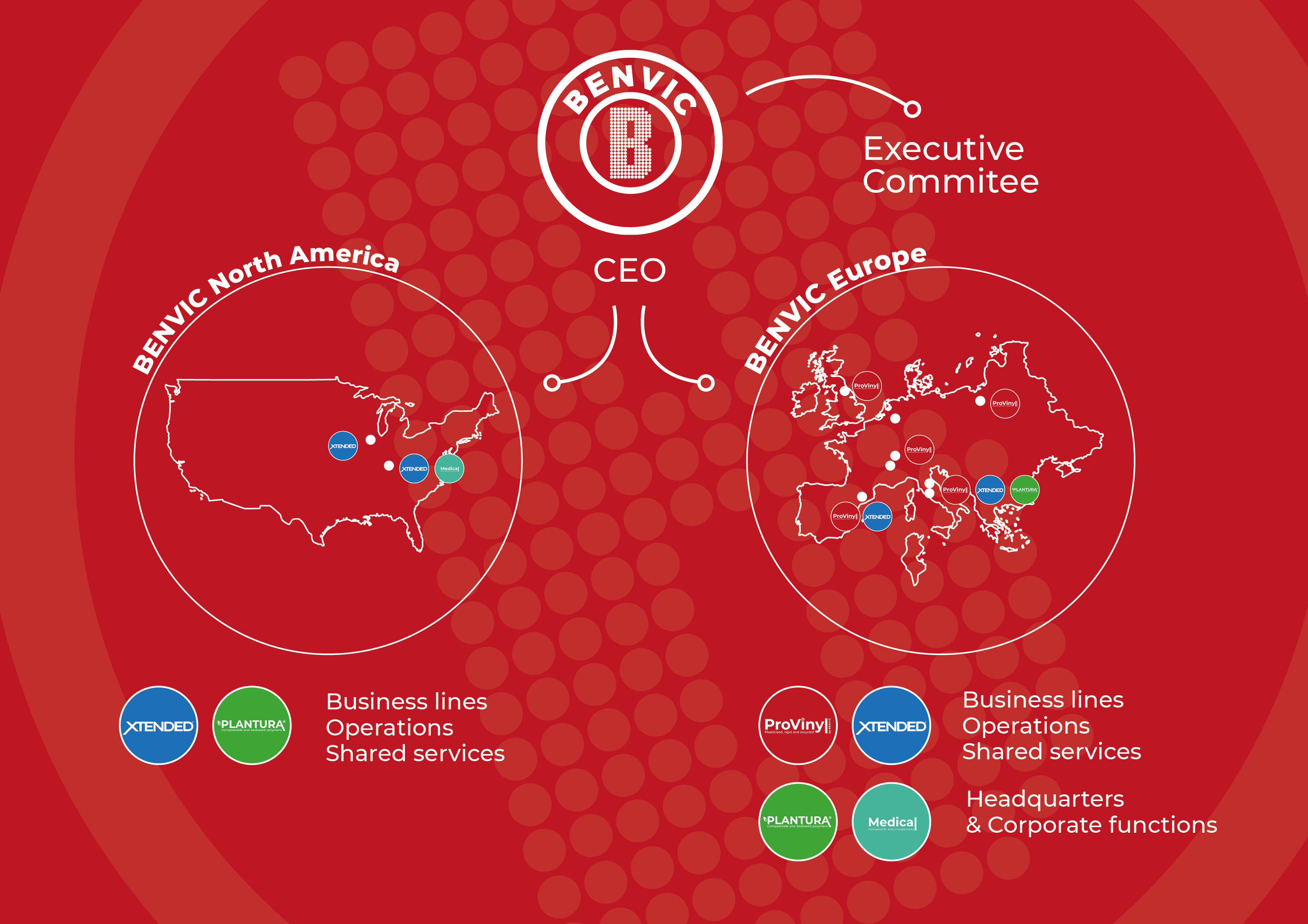 Governance | Benvic Group